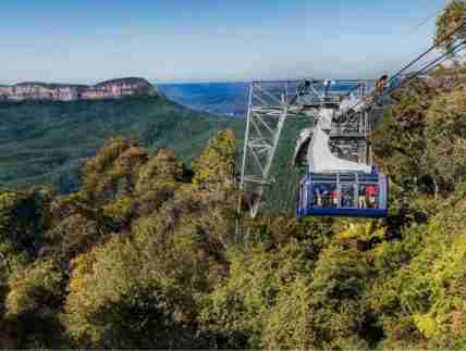 Blue Mountains Half Day Tours | Blue Mountains Day Tours