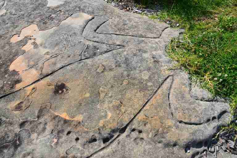 Discovering Aboriginal Rock Engravings | Blue Mountains Day Tours