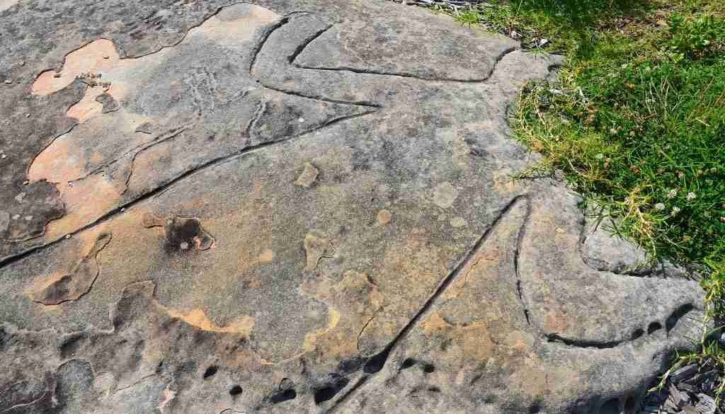 Discovering Aboriginal Rock Engravings | Blue Mountains Day Tours